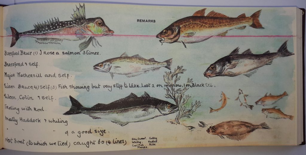 How to draw and paint a trout – Fly Fishing Science