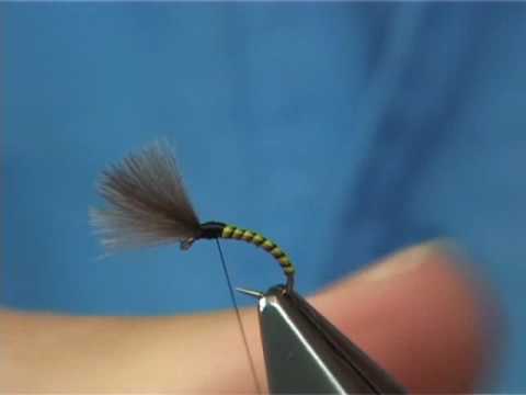 Lake and Pond Olive – Fly Fishing Science