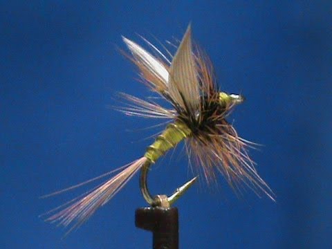 Lake and Pond Olive – Fly Fishing Science