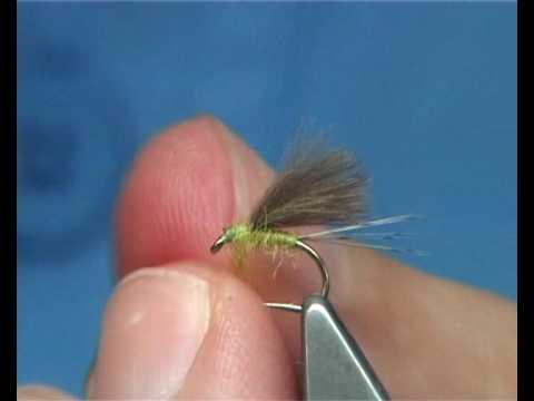 Lake and Pond Olive – Fly Fishing Science