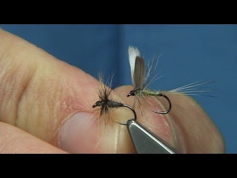 Lake and Pond Olive – Fly Fishing Science