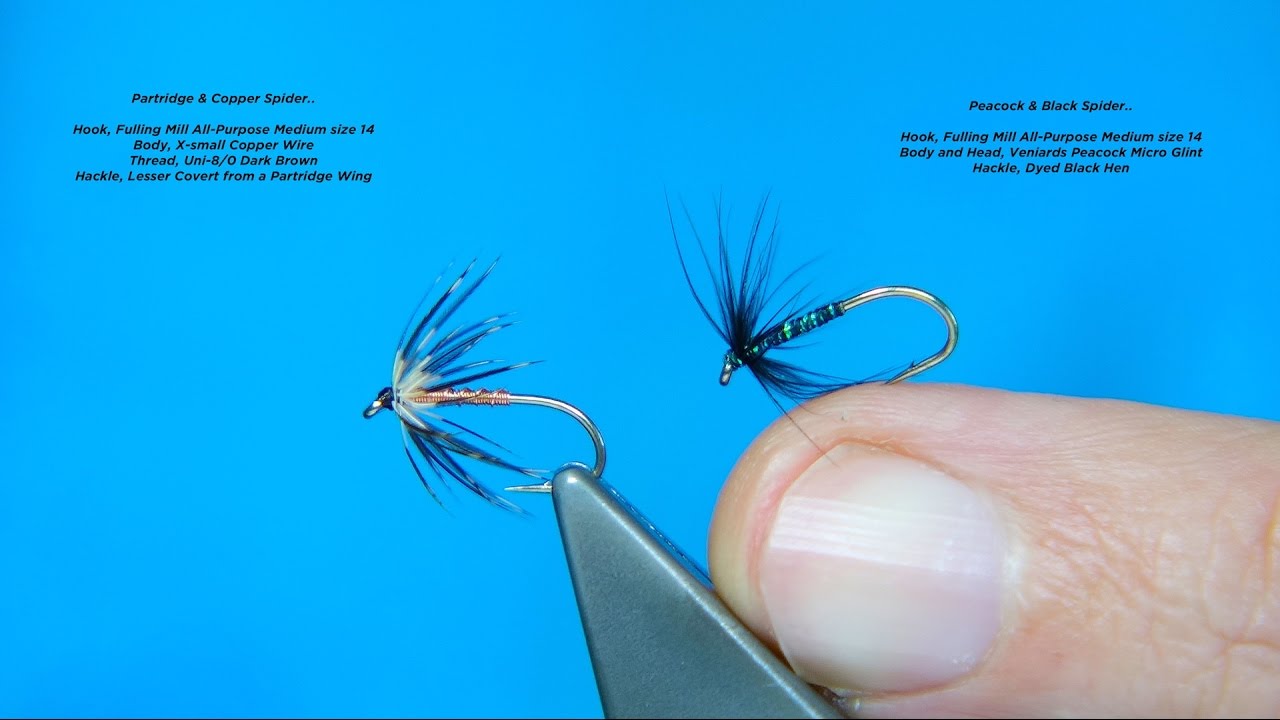 Lake and Pond Olive – Fly Fishing Science